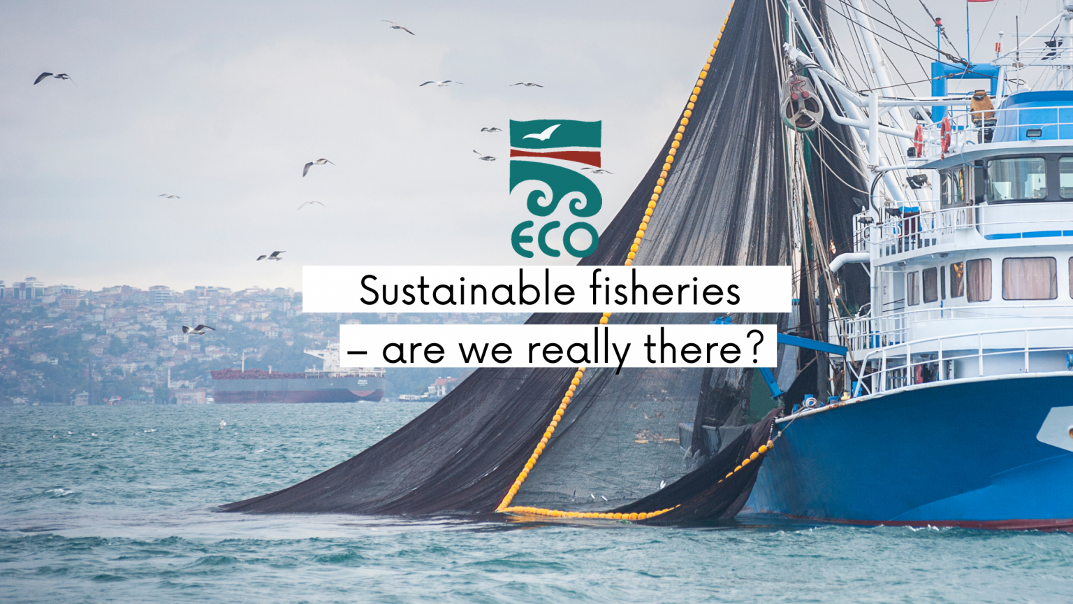 Eco NZ – Environment and Conservation Organisations of New Zealand
