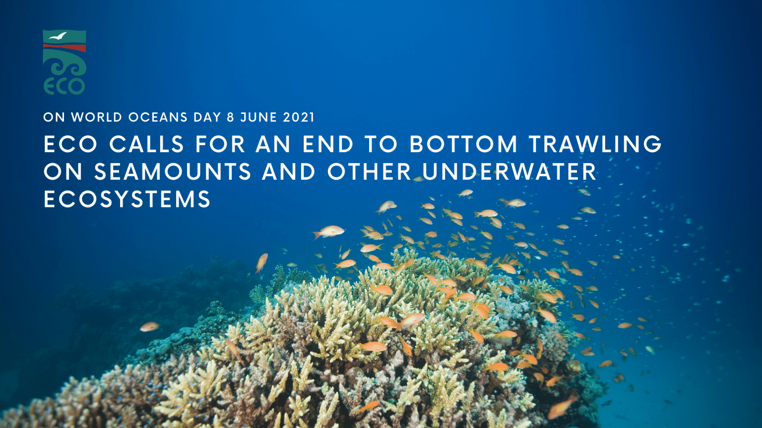 Eco NZ – Environment and Conservation Organisations of New Zealand