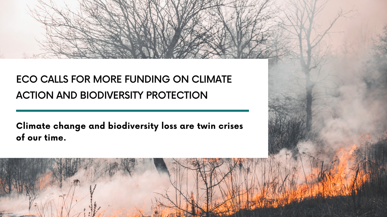 Eco NZ – Environment and Conservation Organisations of New Zealand